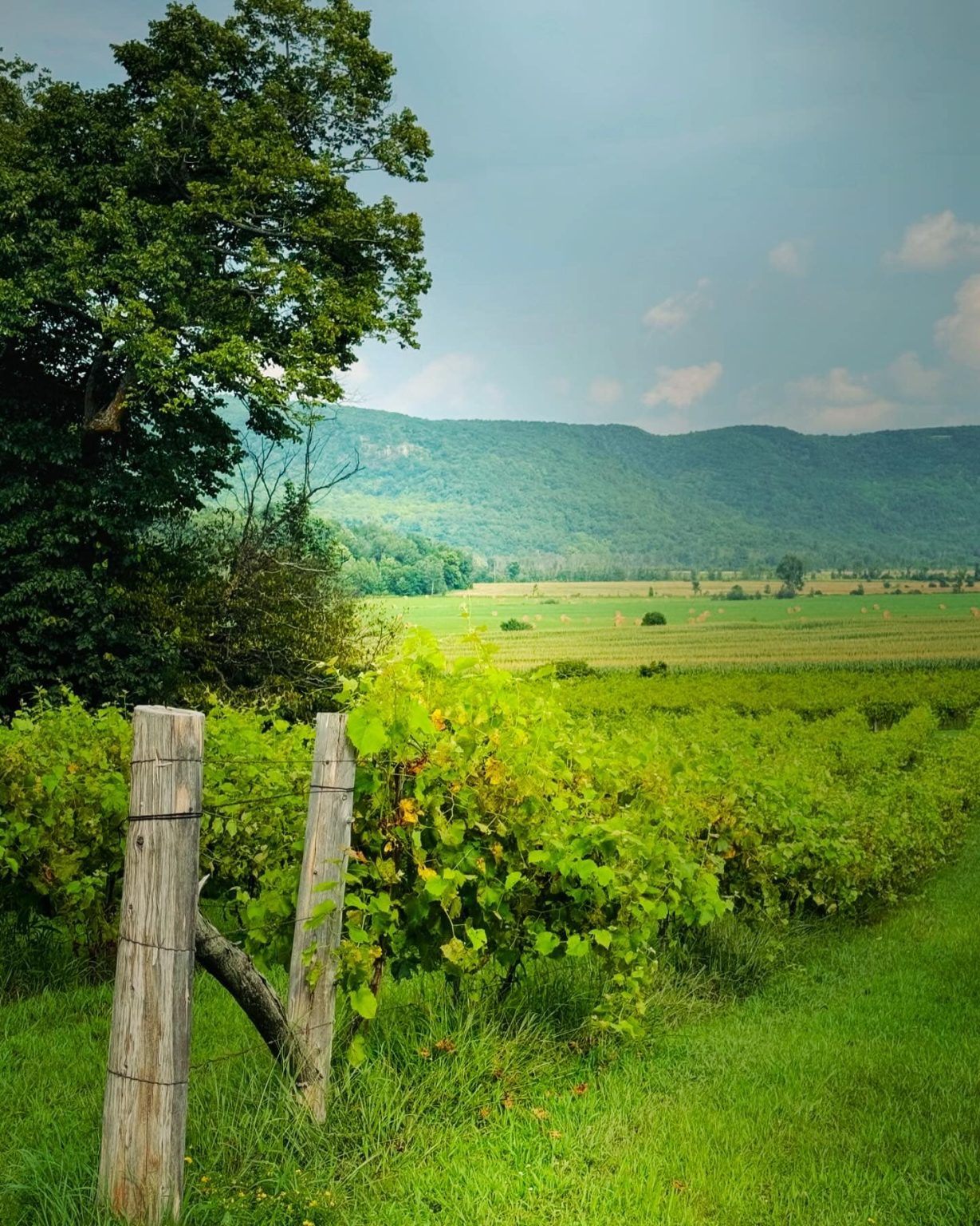 Route des vins et du cidre du Pontiac en Outaouais - Esprit d'Aventure ...
